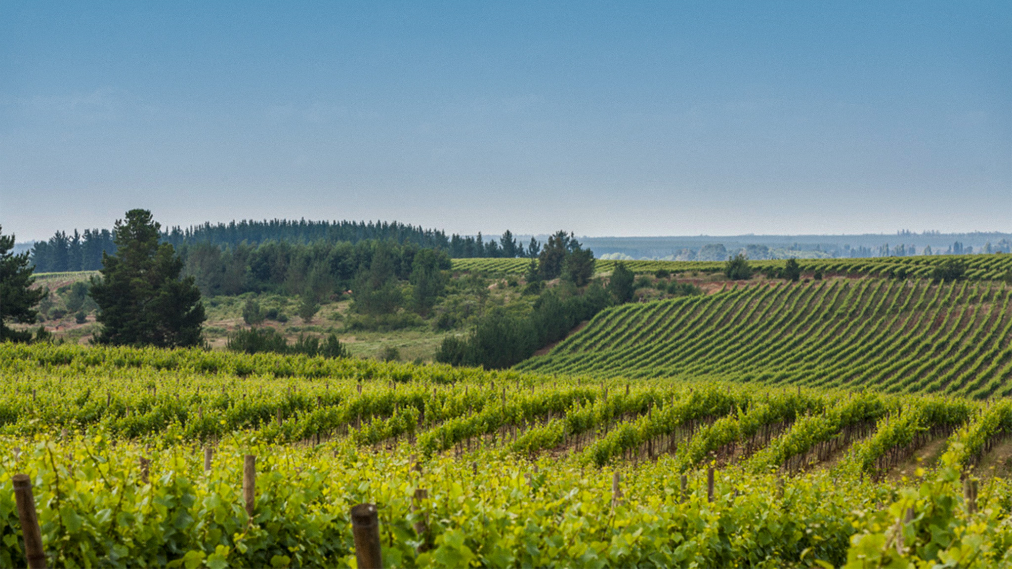 Las 5 Mejores Actividades en la Región del BíoBio